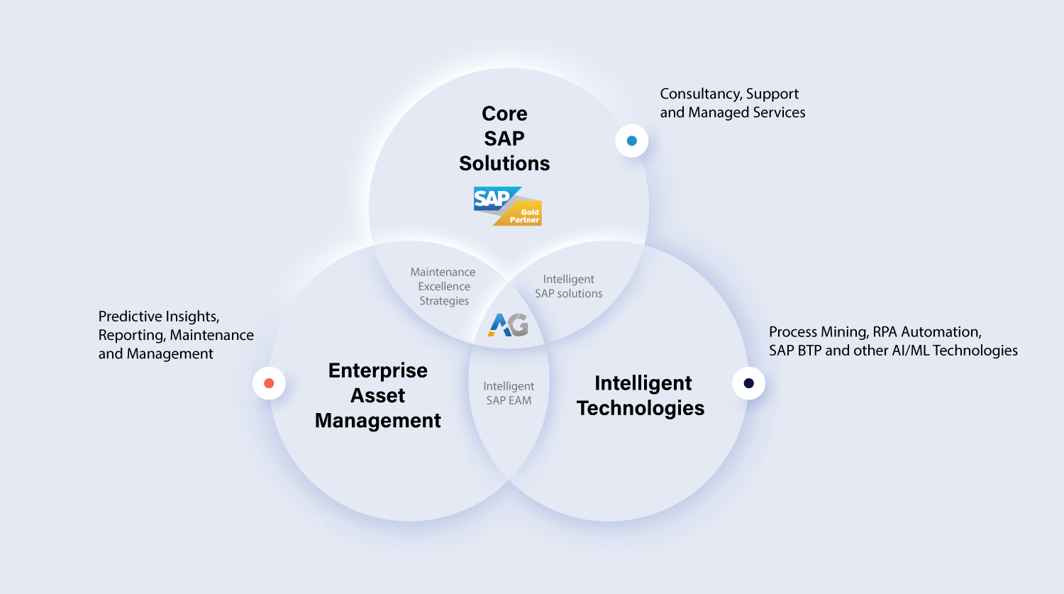 AG - SAP Consultancy and Support